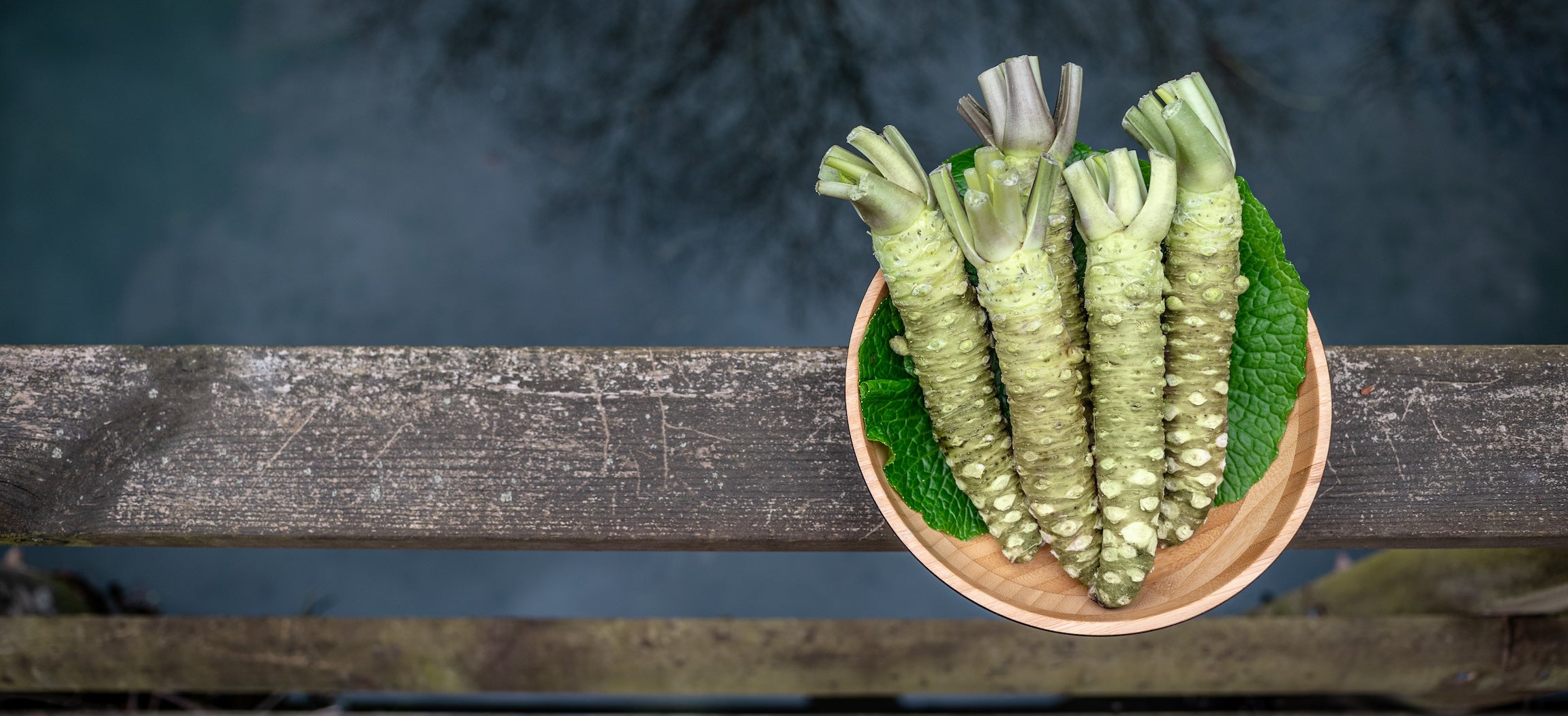 The Wasabi Company | MEAT ME AT HOME